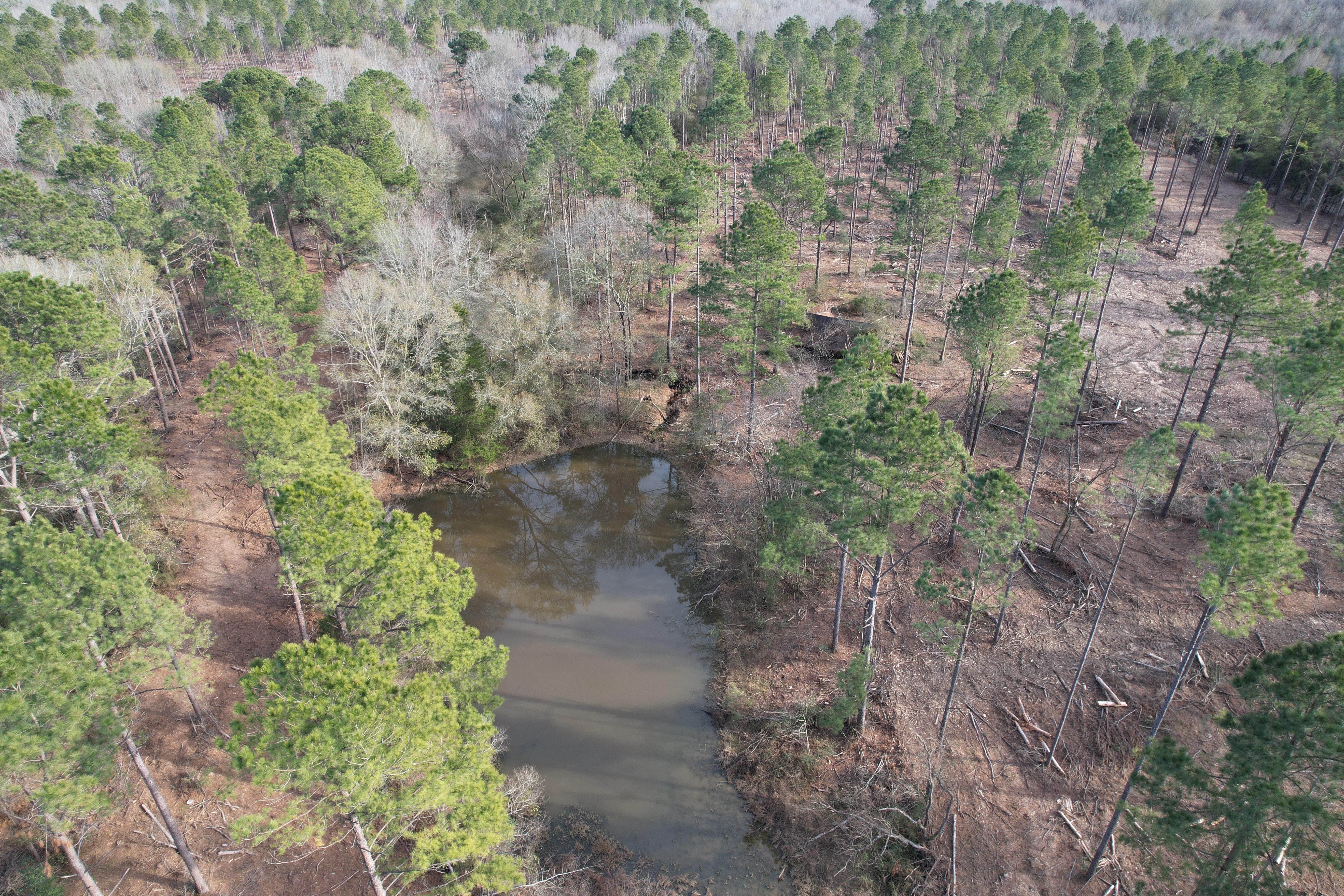 County Road 4037, Timpson, TX 75975 | LandWatch