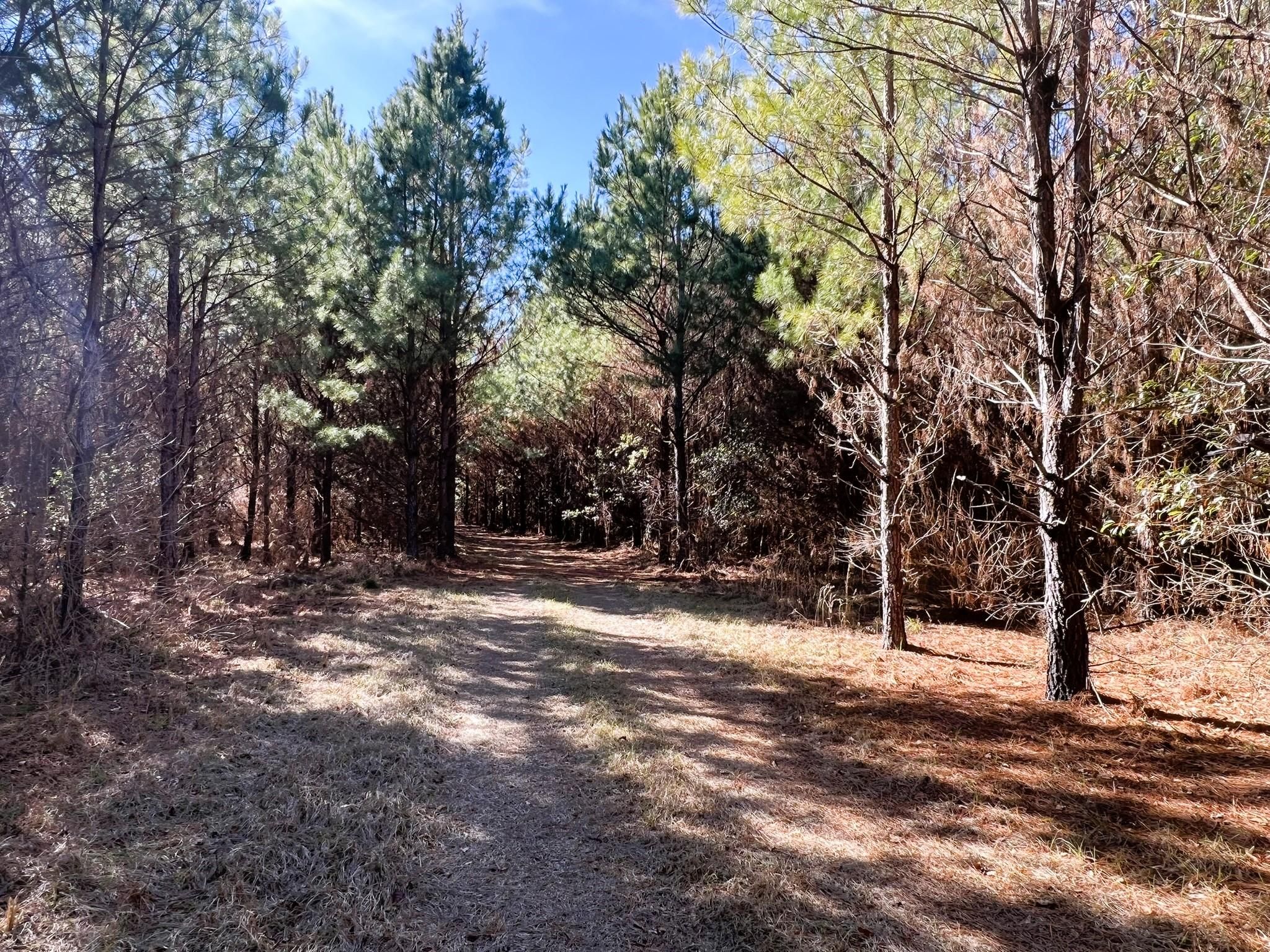 Lock 3 Road, Demopolis, AL 36732 | MLS: 11410458 | LandWatch