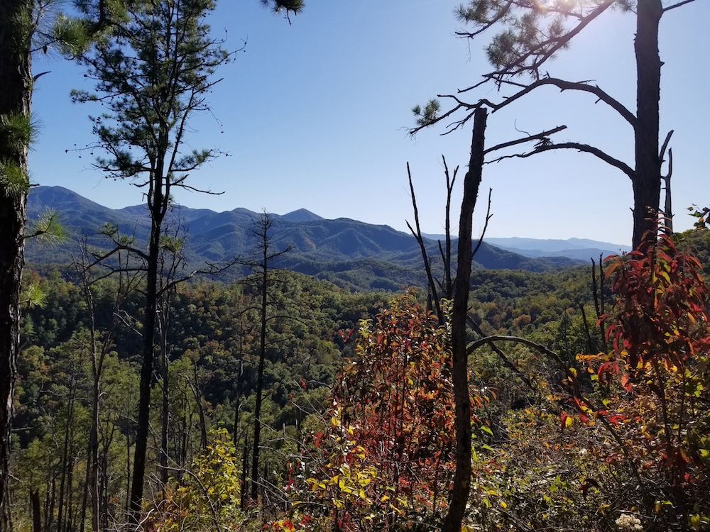 4478 E Highway 25-70(Dixie Hwy), Del Rio, TN 37727 | LandWatch