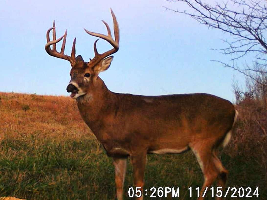 2700 Road G, Americus, KS 66835 | LandWatch