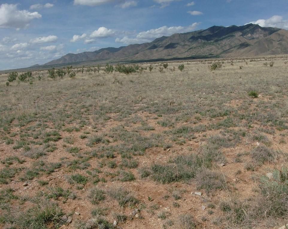 5 acres in Belen, NM, 87002 | MLS: 155896 | LandWatch