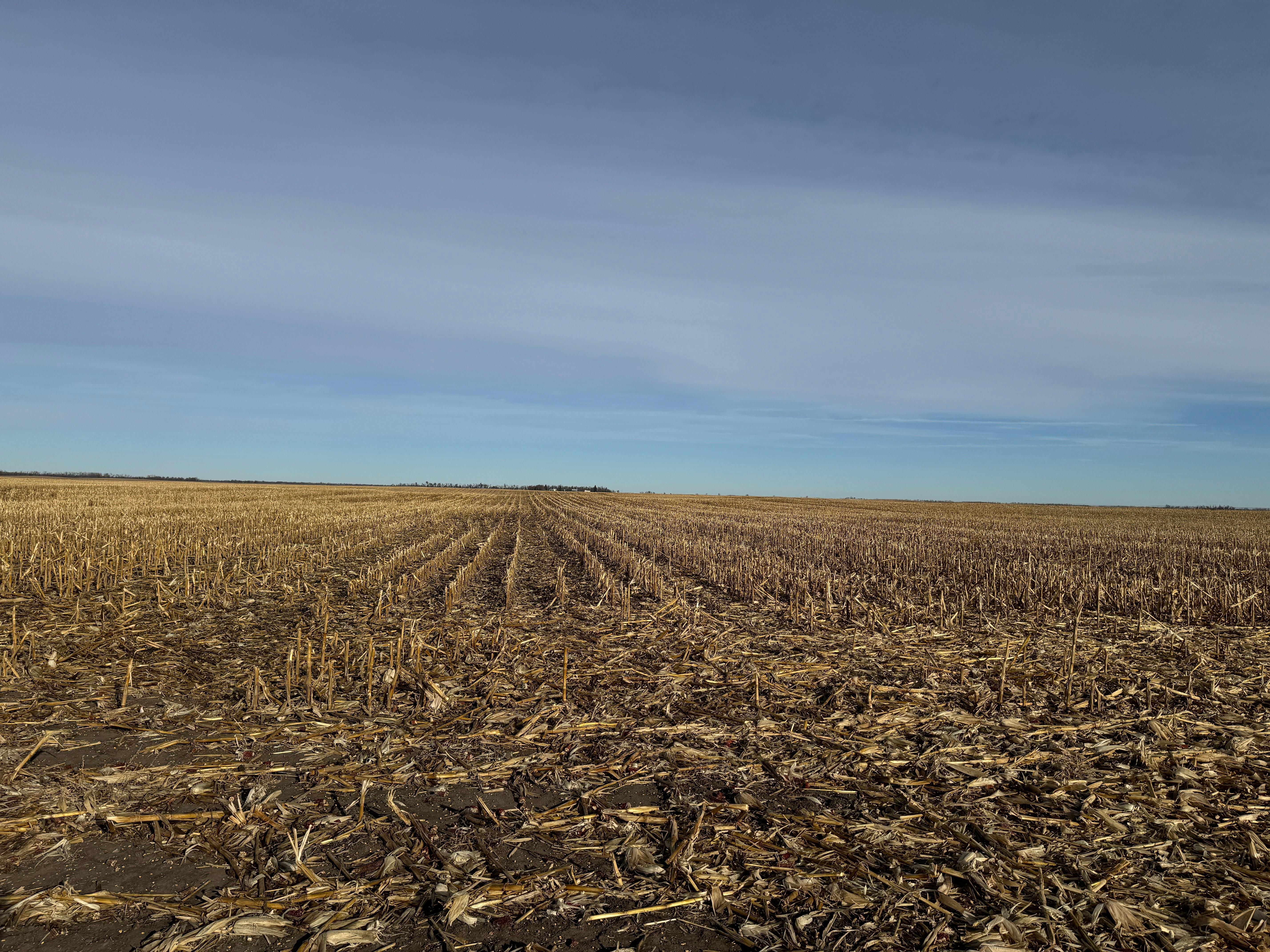 1,440 acres in Monango, ND, 58436 | LandWatch