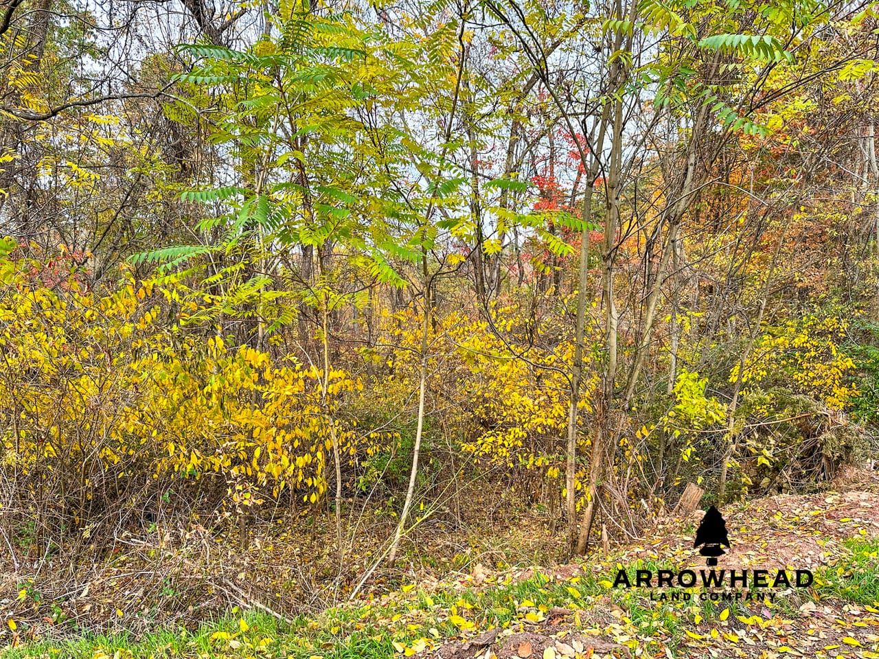 0 Fisher Ridge Rd, Fleming, OH 45729 | LandWatch