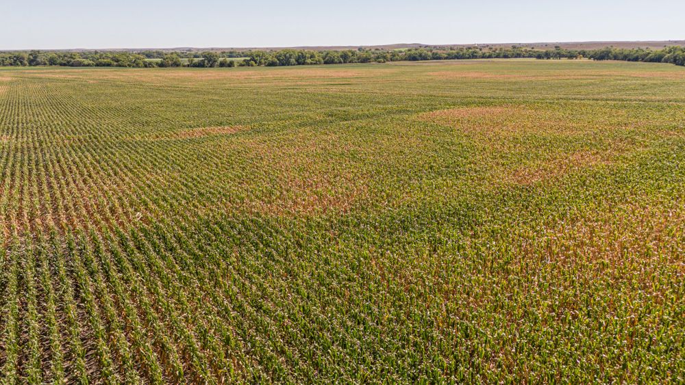 00000 US Highway 283, Lenora, KS 67645 | MLS: Norton 174 | LandWatch