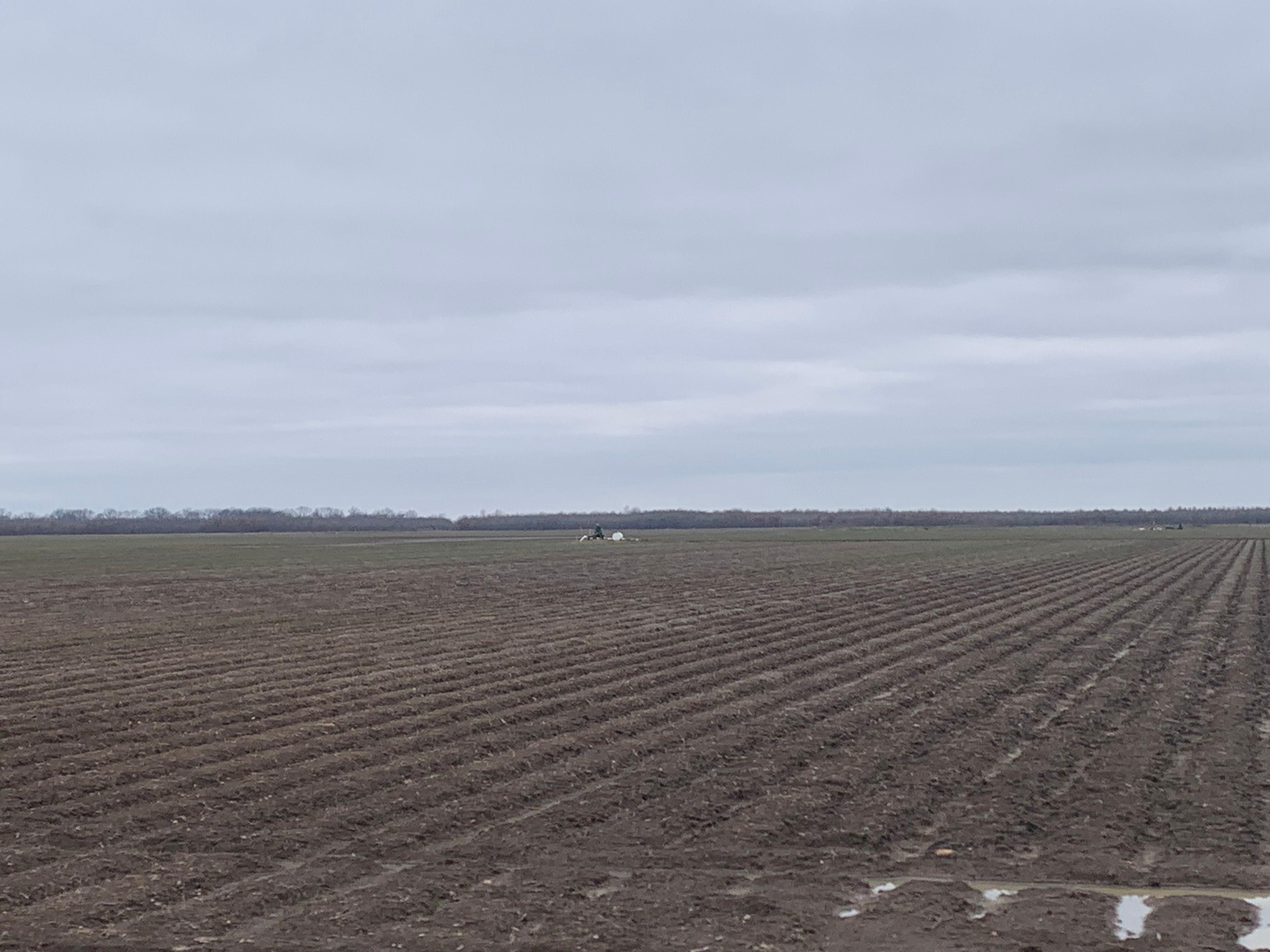 240 acres in Transylvania, LA, 71286 | MLS: East Carroll 240 | LandWatch