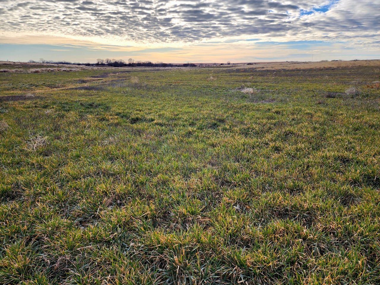TBD County Road 553, Hill City, KS 67642 | LandWatch