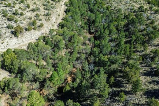 Timberon, NM 88350, Timberon, NM 88350 | LandWatch