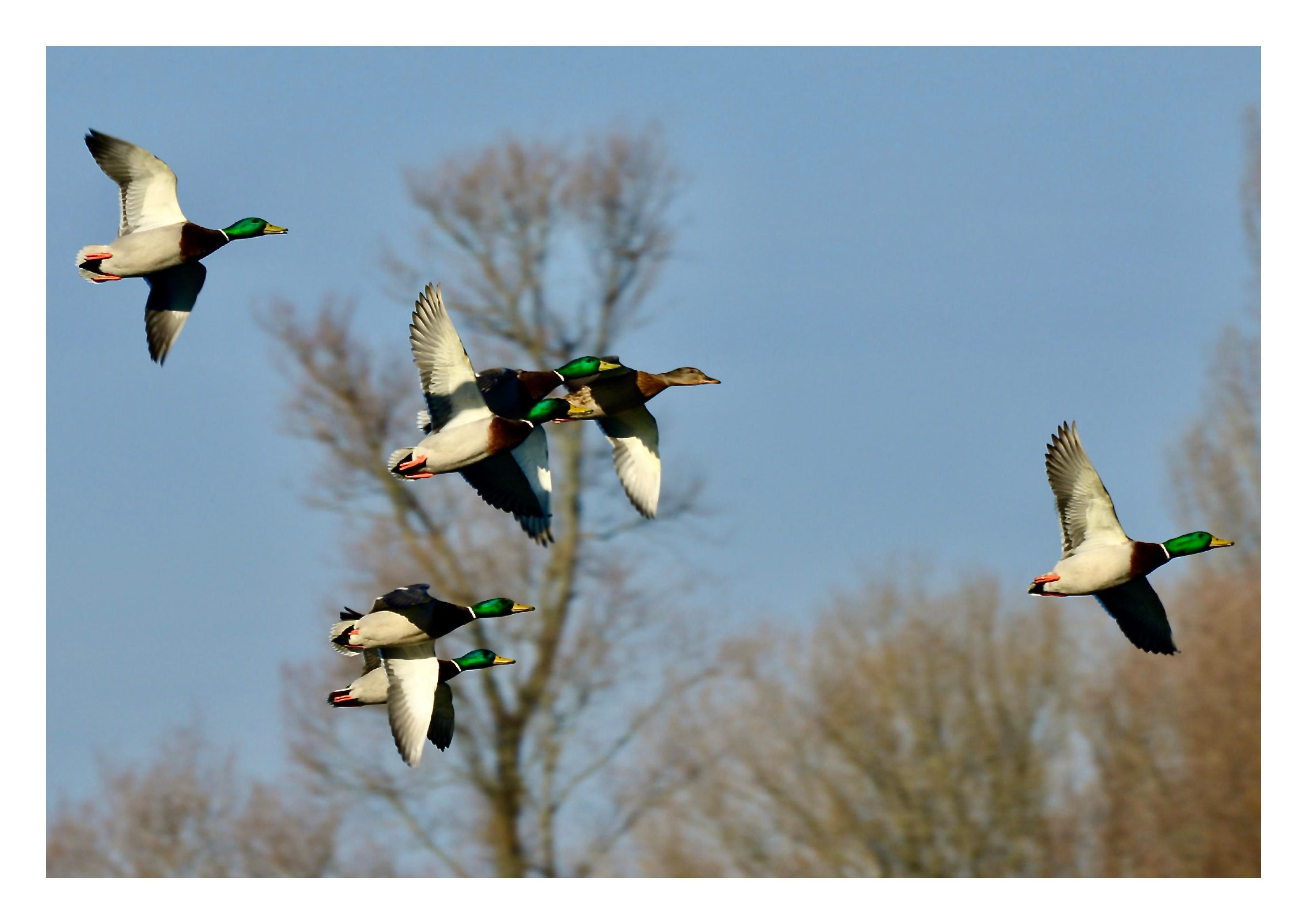 9487 E Connor Rd, Biscoe, AR 72017 | LandWatch