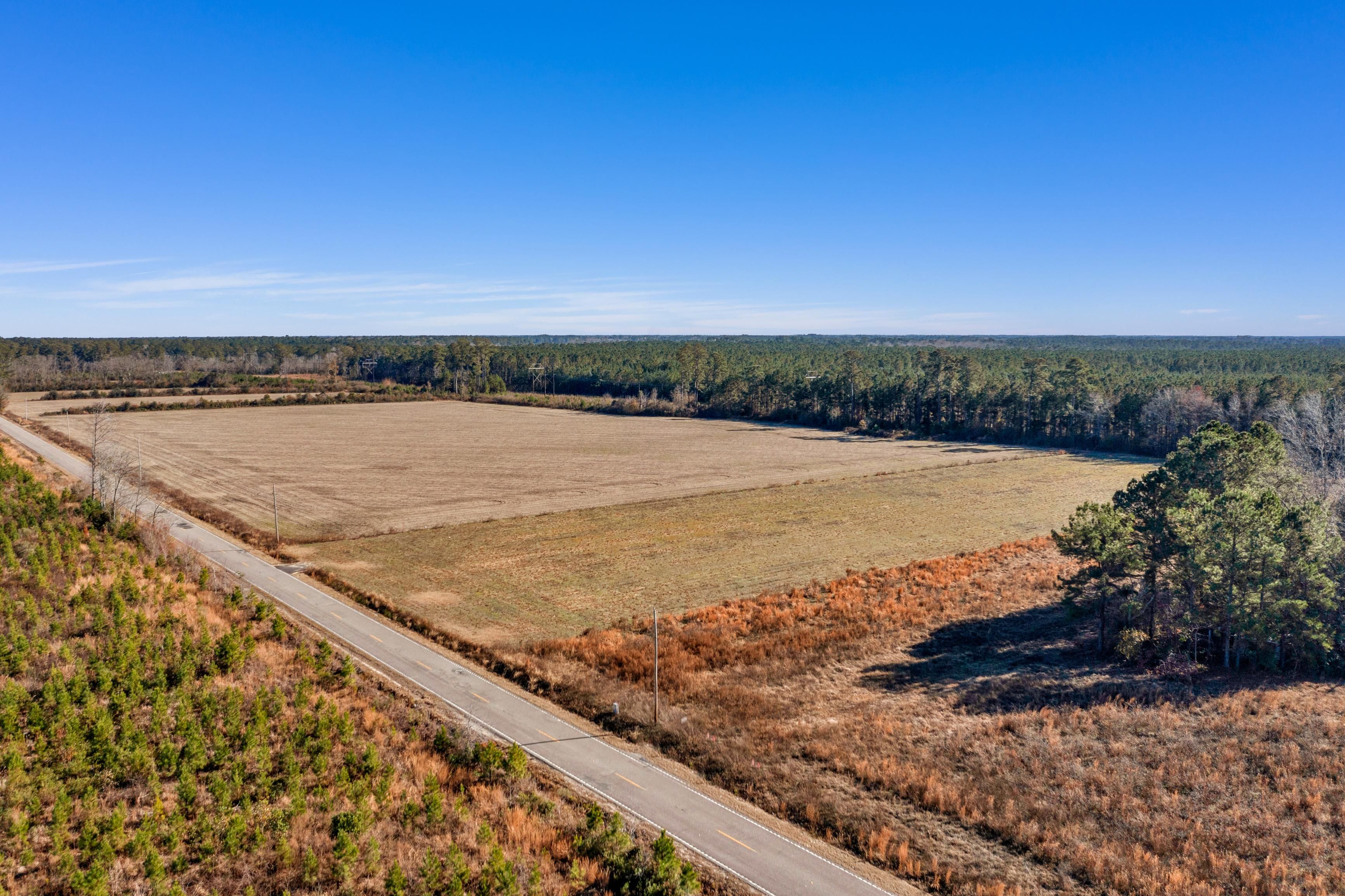 Williams Hill Rd, Hemingway, SC 29554 | MLS: 600050 | LandWatch