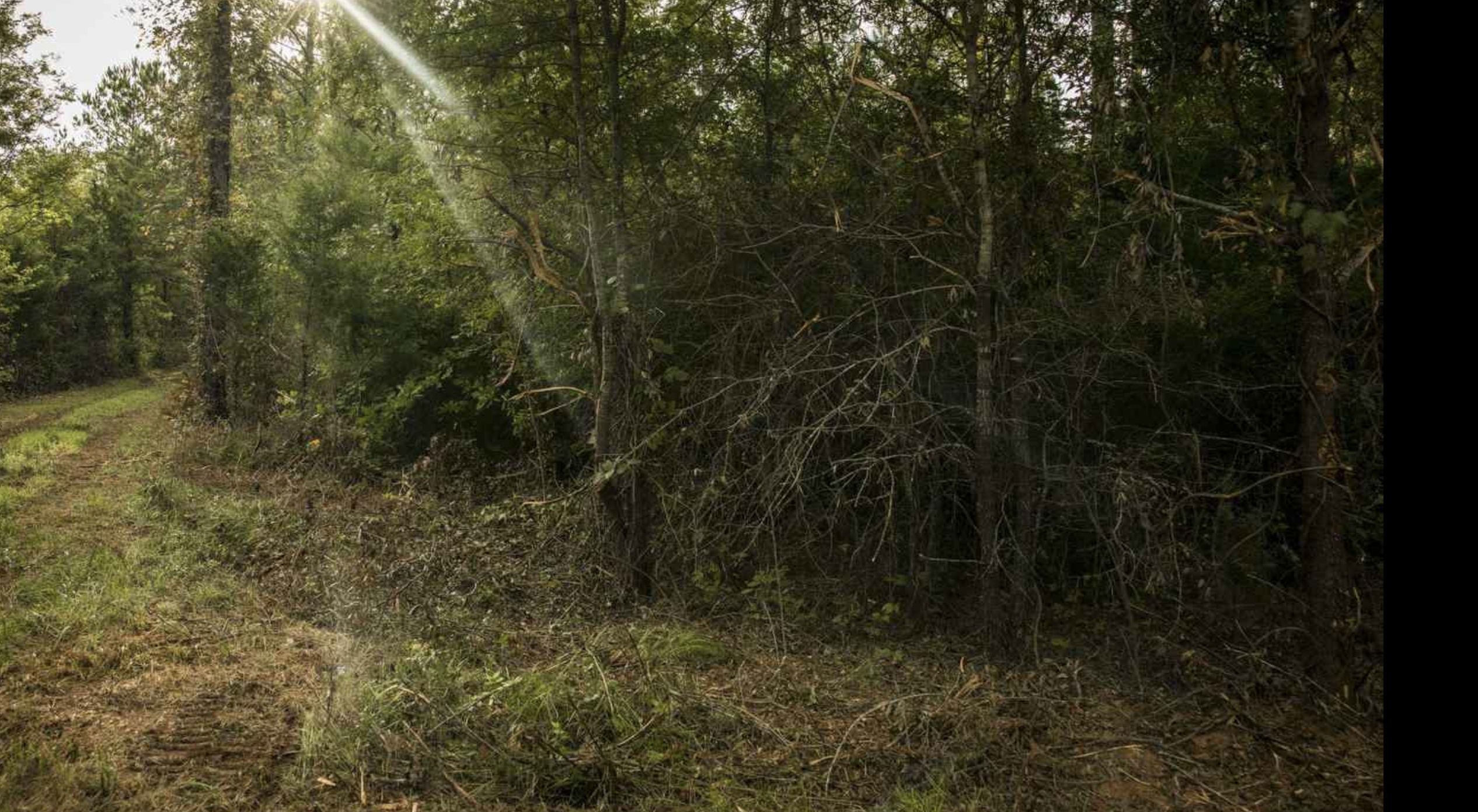 10 acres in Youngtown, AL, 35650 | LandWatch