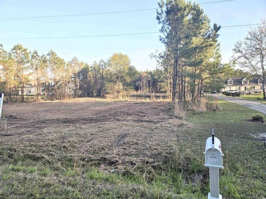0 Highway 905, Longs, SC 29568 | MLS: 25001471 | LandWatch