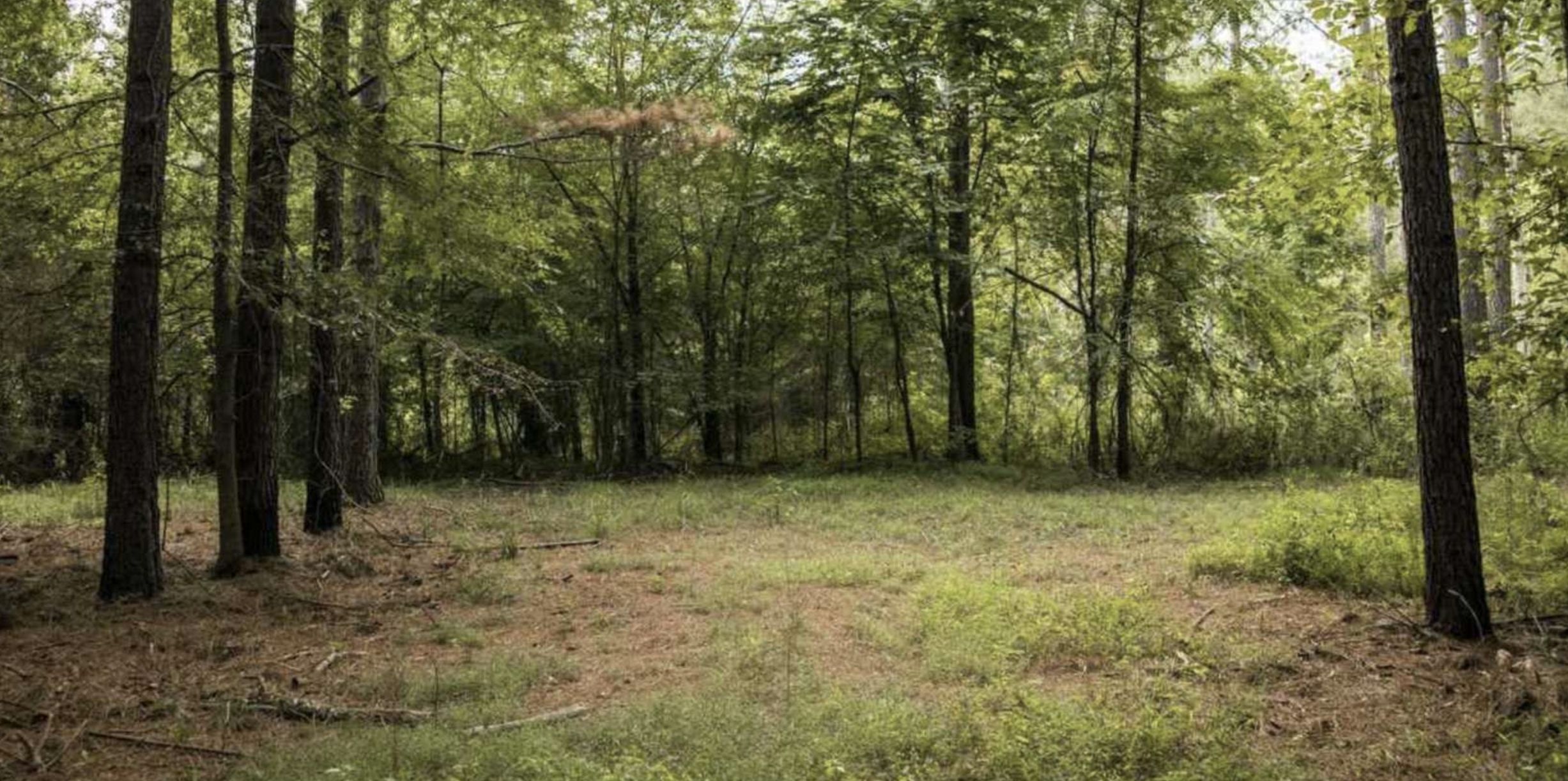 30 acres in Youngtown, AL, 35650 | LandWatch