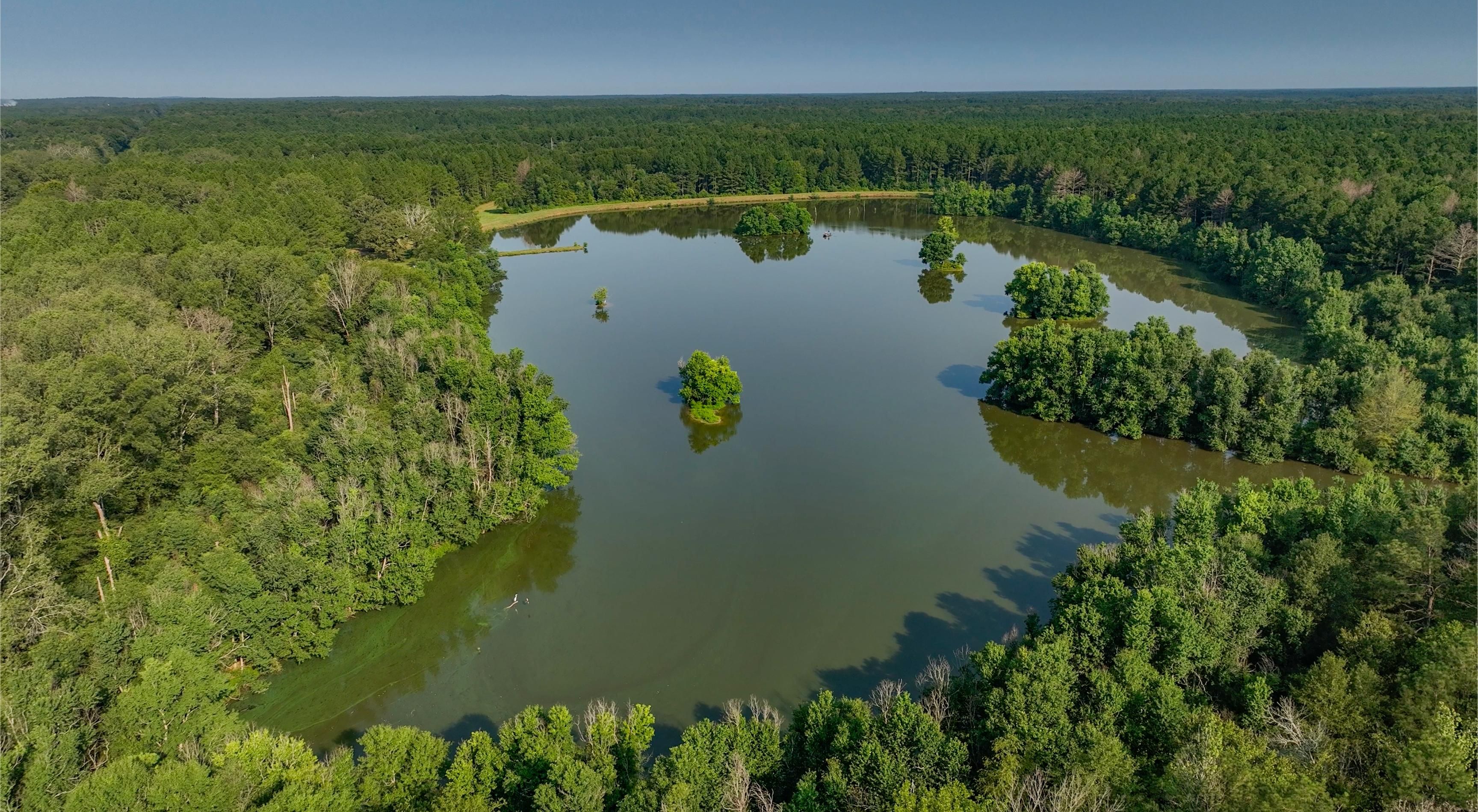 Hwy 80 W, Forest, MS 39074 | LandWatch