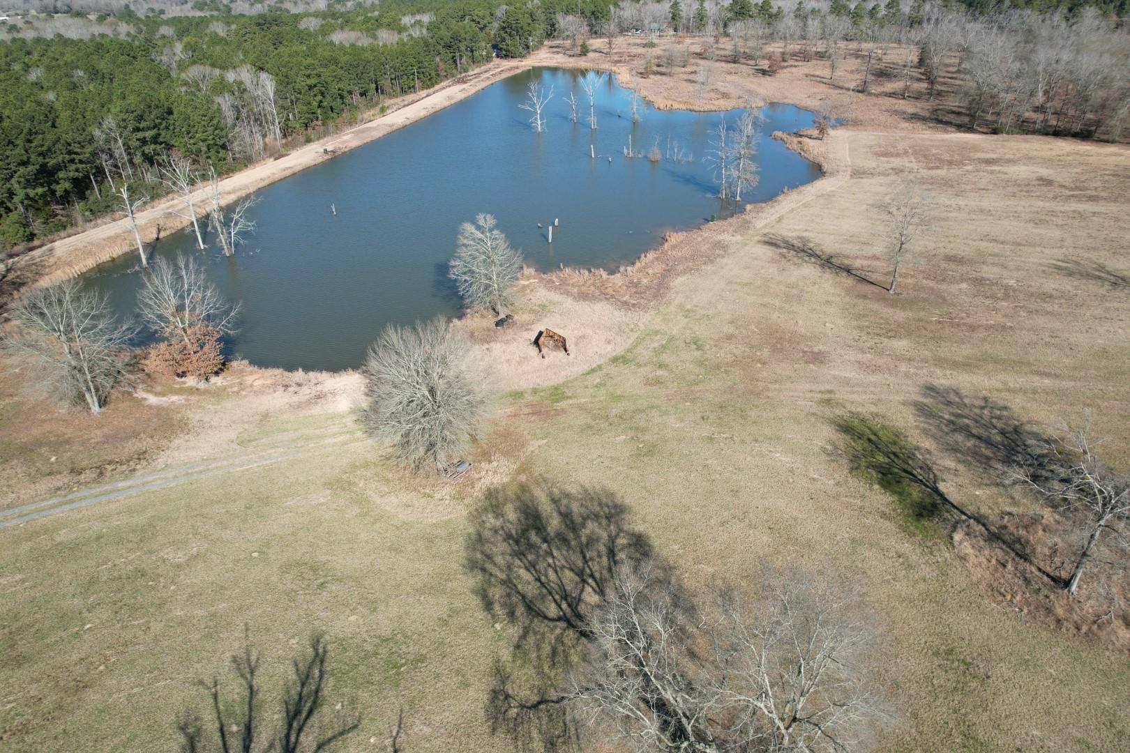 220 acres in Timpson, TX, 75975 | LandWatch