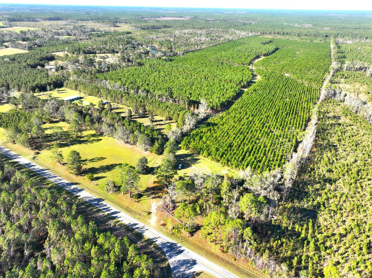112 Acres Telemore Dixie Union Rd, Waycross, GA 31503 | LandWatch