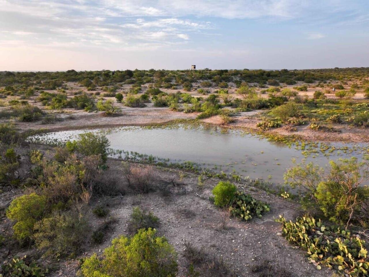 Ranch to Market Road 1024, Ozona, TX 76943 | LandWatch