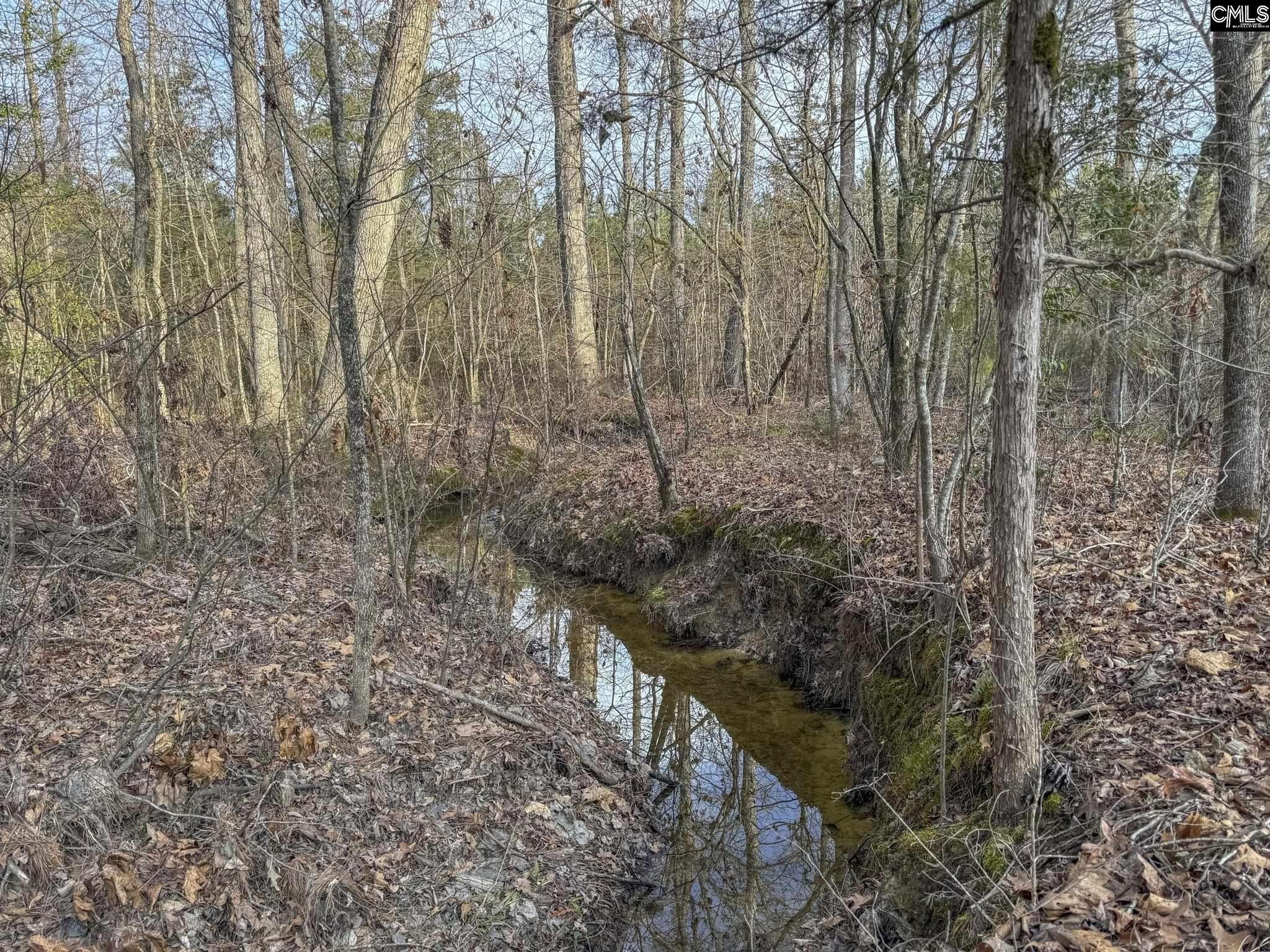 Ebb Mack lot 2 Road, Saluda, SC 29138 | MLS: 598147 | LandWatch