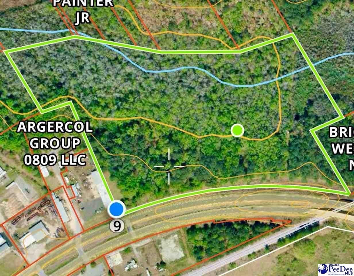 Hwy 9 W, Wallace, SC 29596 | MLS: 20250404 | LandWatch