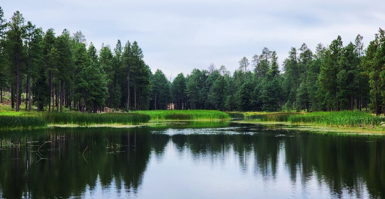 Sandhill Road, Sun Valley, AZ 86025 | LandWatch