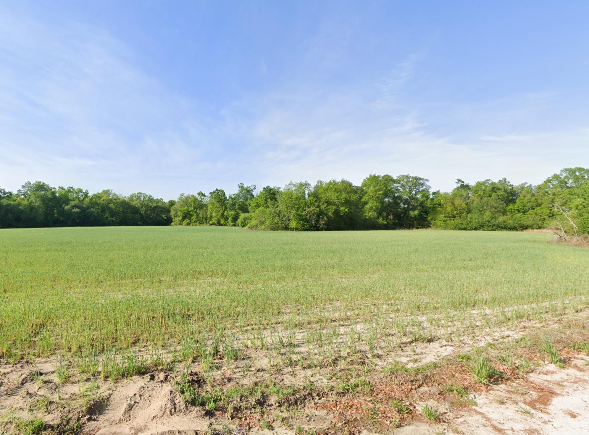 Long Rd, Gordon, AL 36343 | LandWatch