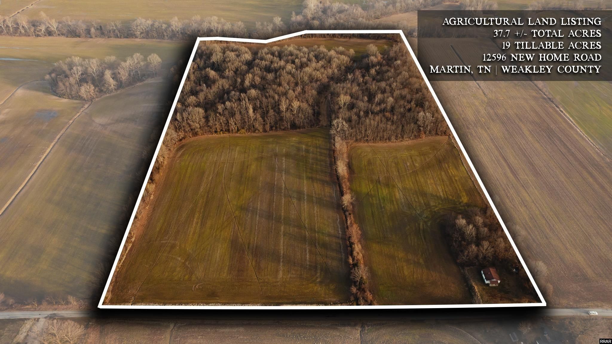 12596 New Home, Martin, TN 38237 | MLS: 45374 | LandWatch