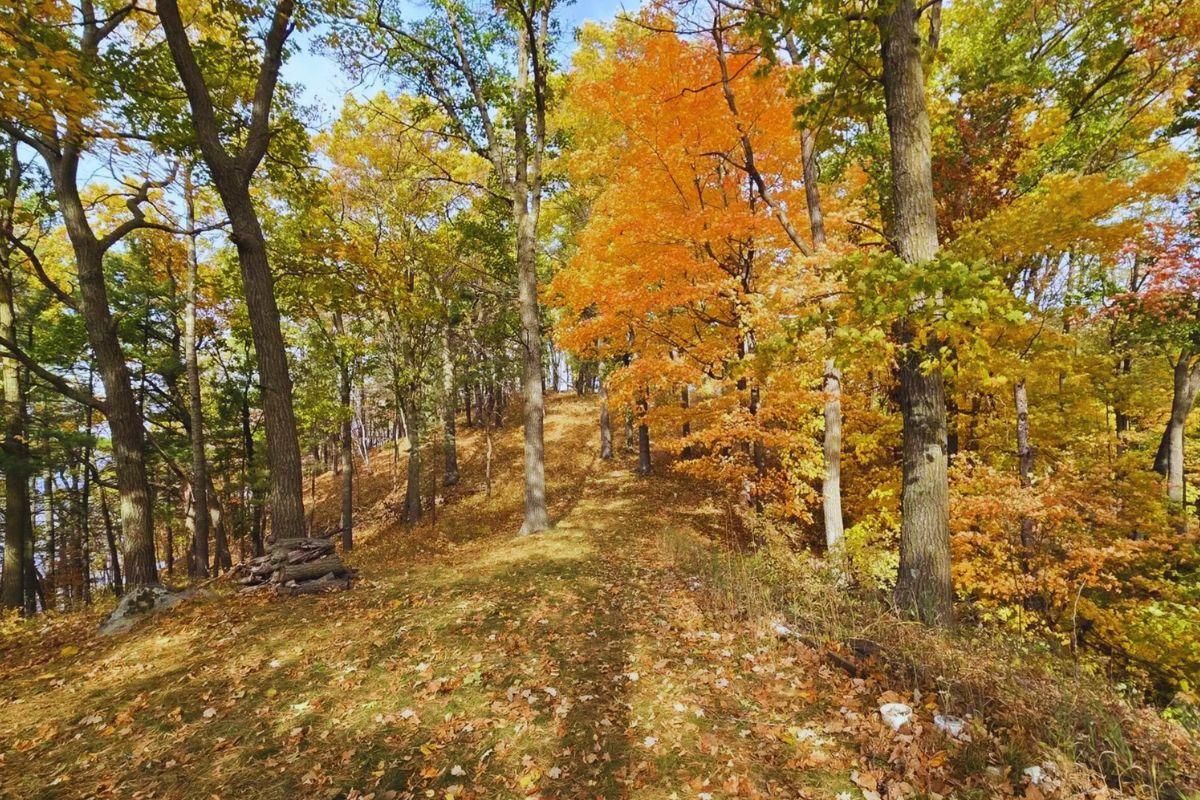 Flinstone Dr, Cushing, MN 56443 | MLS: Morrison 0.78 Acres, 08.0862.000 ...