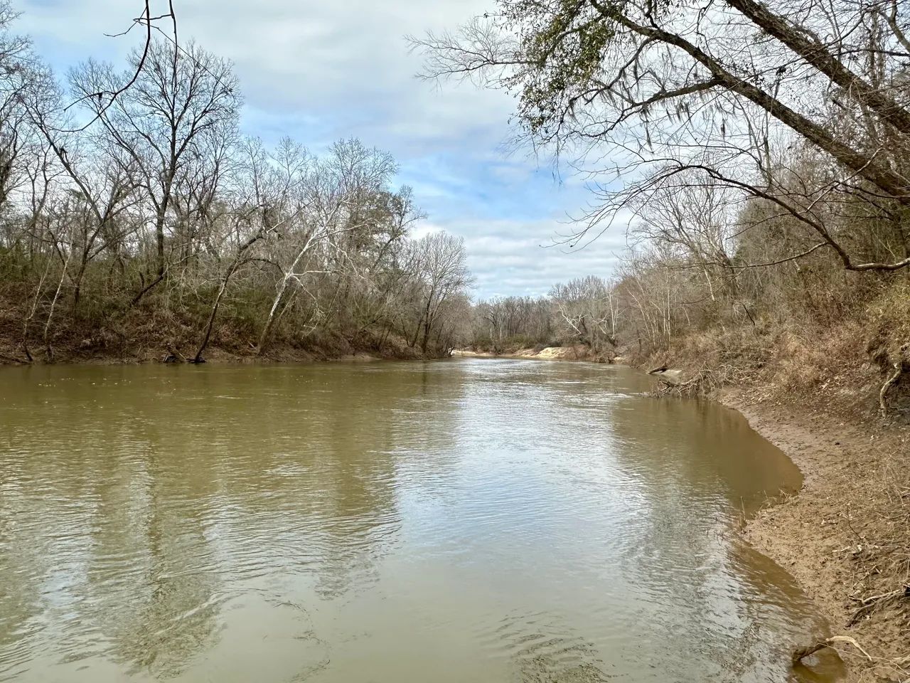 US HIghway 80, Marion Junction, AL 36759 | LandWatch