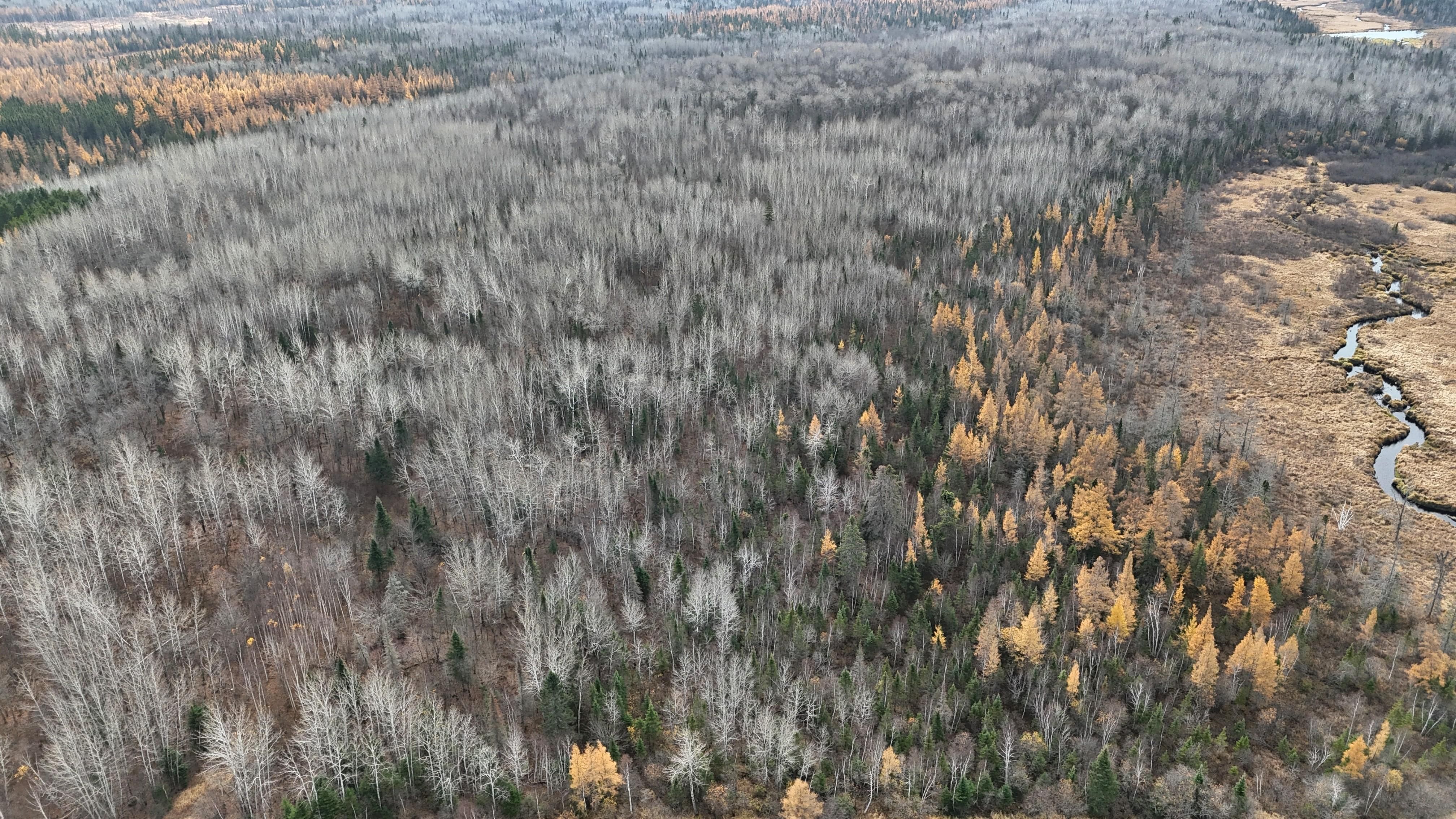 40 acres in Brimson, MN, 55602 | MLS: 6655622 | LandWatch