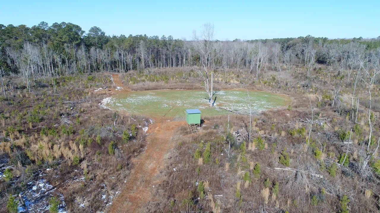 Canterbury Rd, Honoraville, AL 36042 | LandWatch
