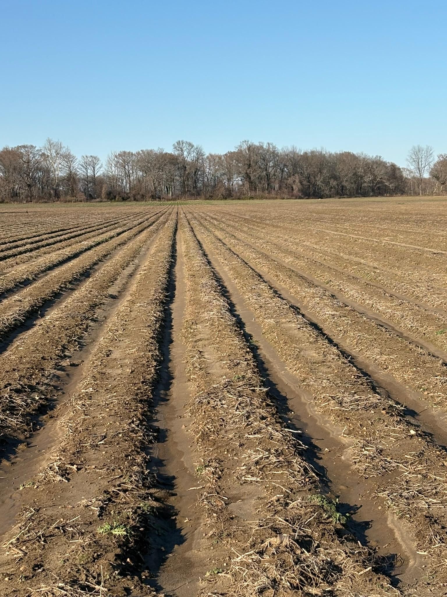 Sandy Bayou Rd, Anguilla, MS 38721 | MLS: 4101770 | LandWatch