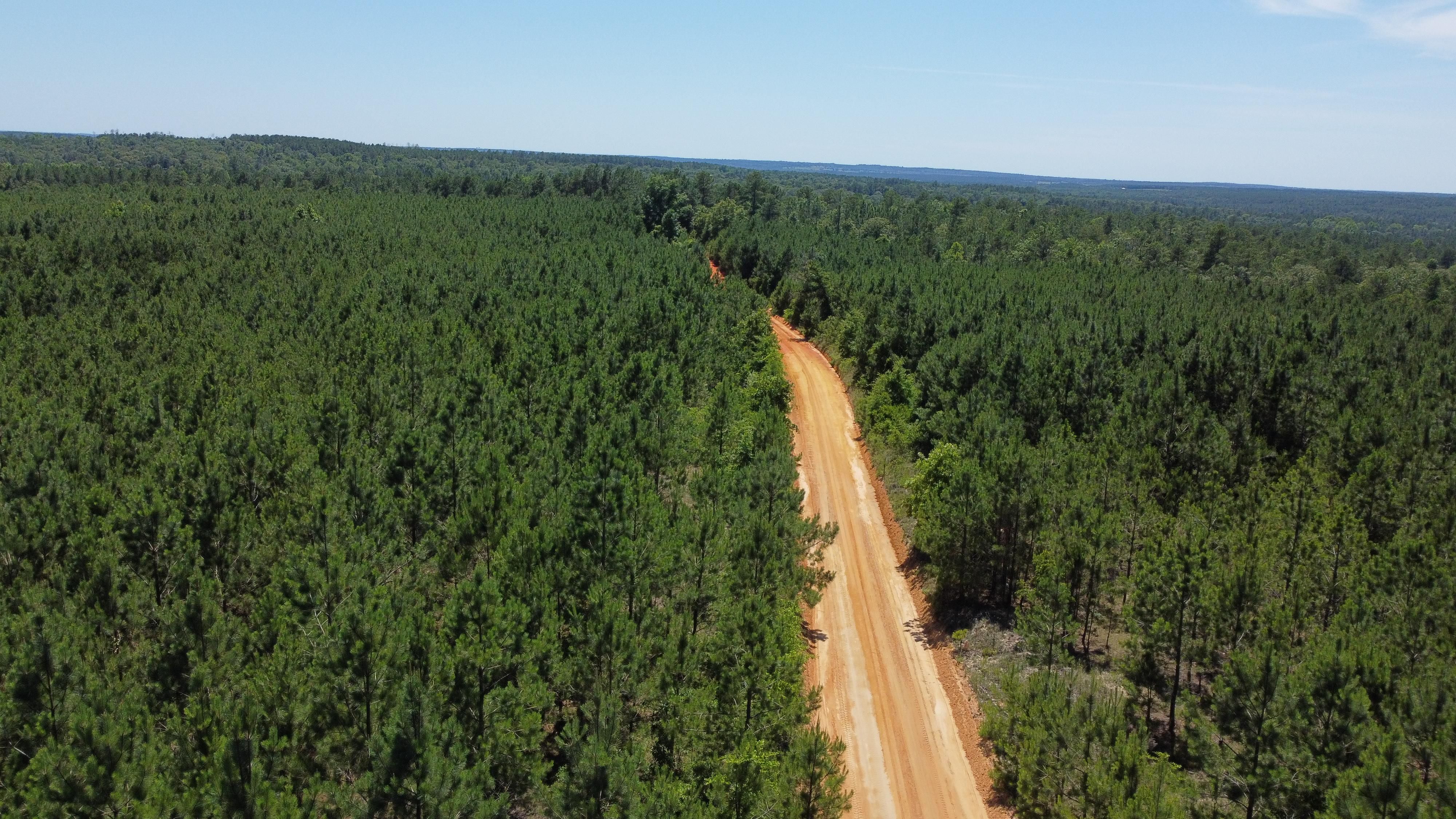 6 acres in Mauk, GA, 31701 | LandWatch