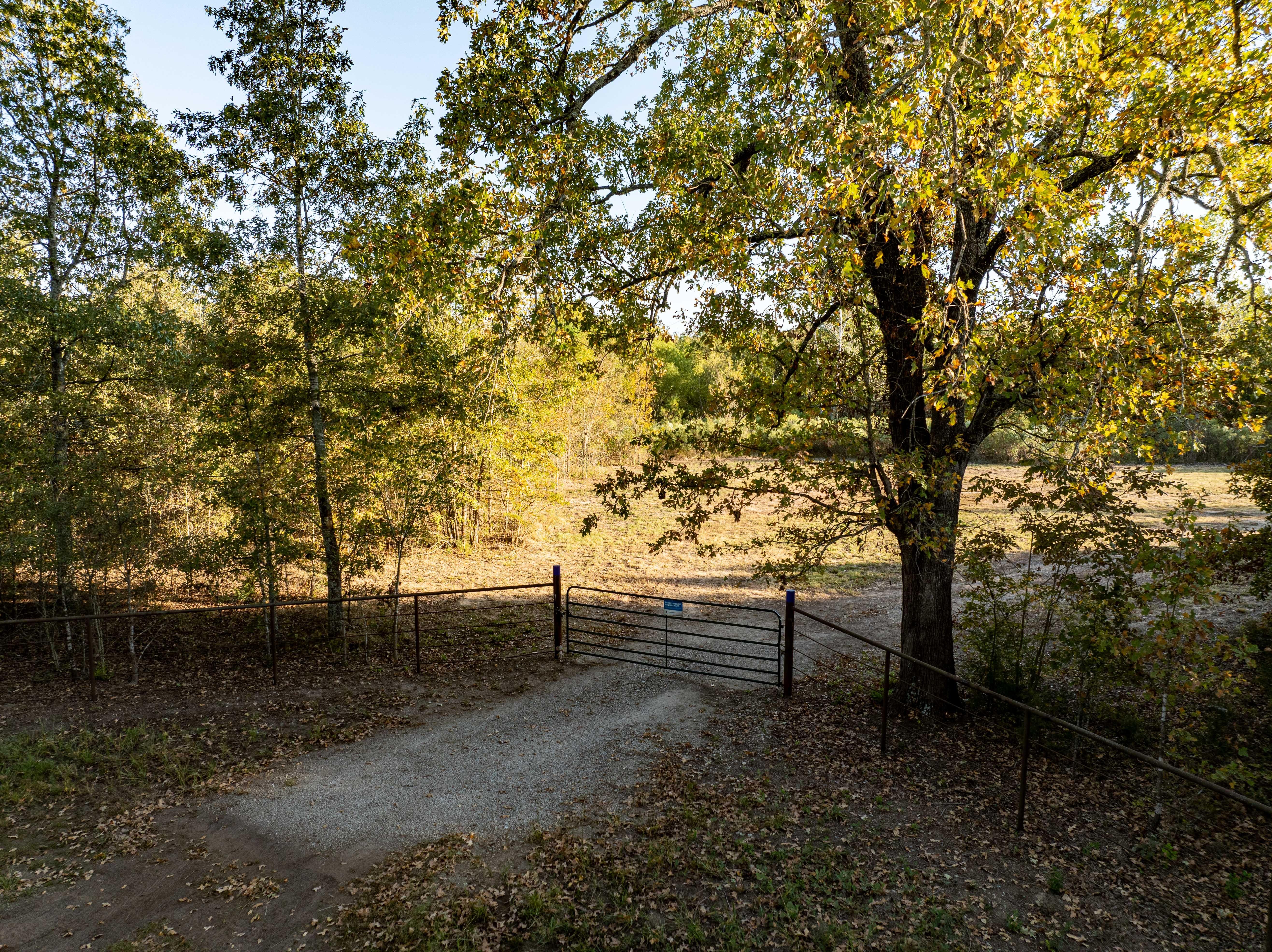 County Road 1915, Talco, TX 75487 | MLS: 24014982 | LandWatch