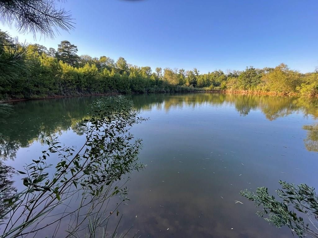 21412 ST HWY 21, Chireno, TX 75937 | MLS: 22500219 | LandWatch