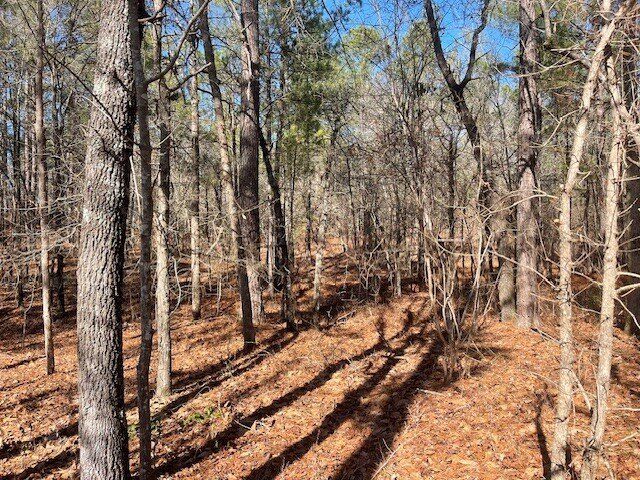 0 Hickory Grove Rd., Wallace, SC 29512 | MLS: 11428949 | LandWatch