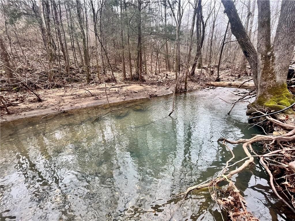 00 NC 6052, Jasper, AR 72641 | MLS: 1297996 | LandWatch