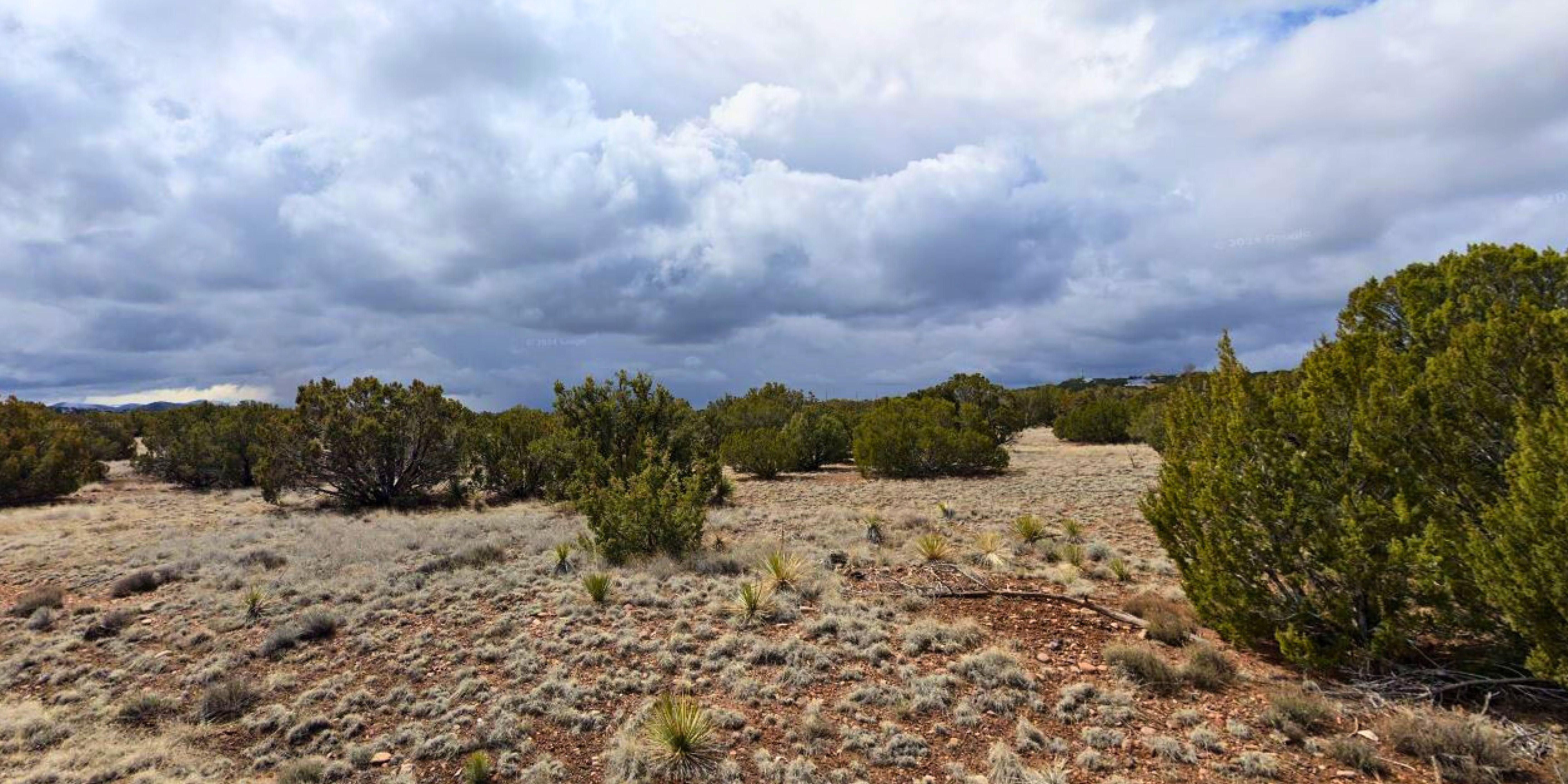 County Road N3523, Springerville, AZ 85938 | LandWatch