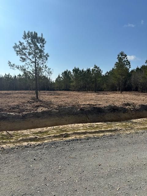 3.49 acres in Galivants Ferry, SC, 29544 | LandWatch