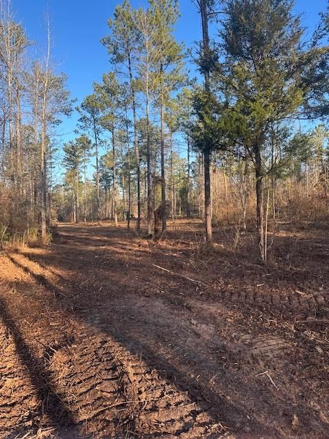 1802 Mulberry Road, Sulligent, AL 35586 | LandWatch