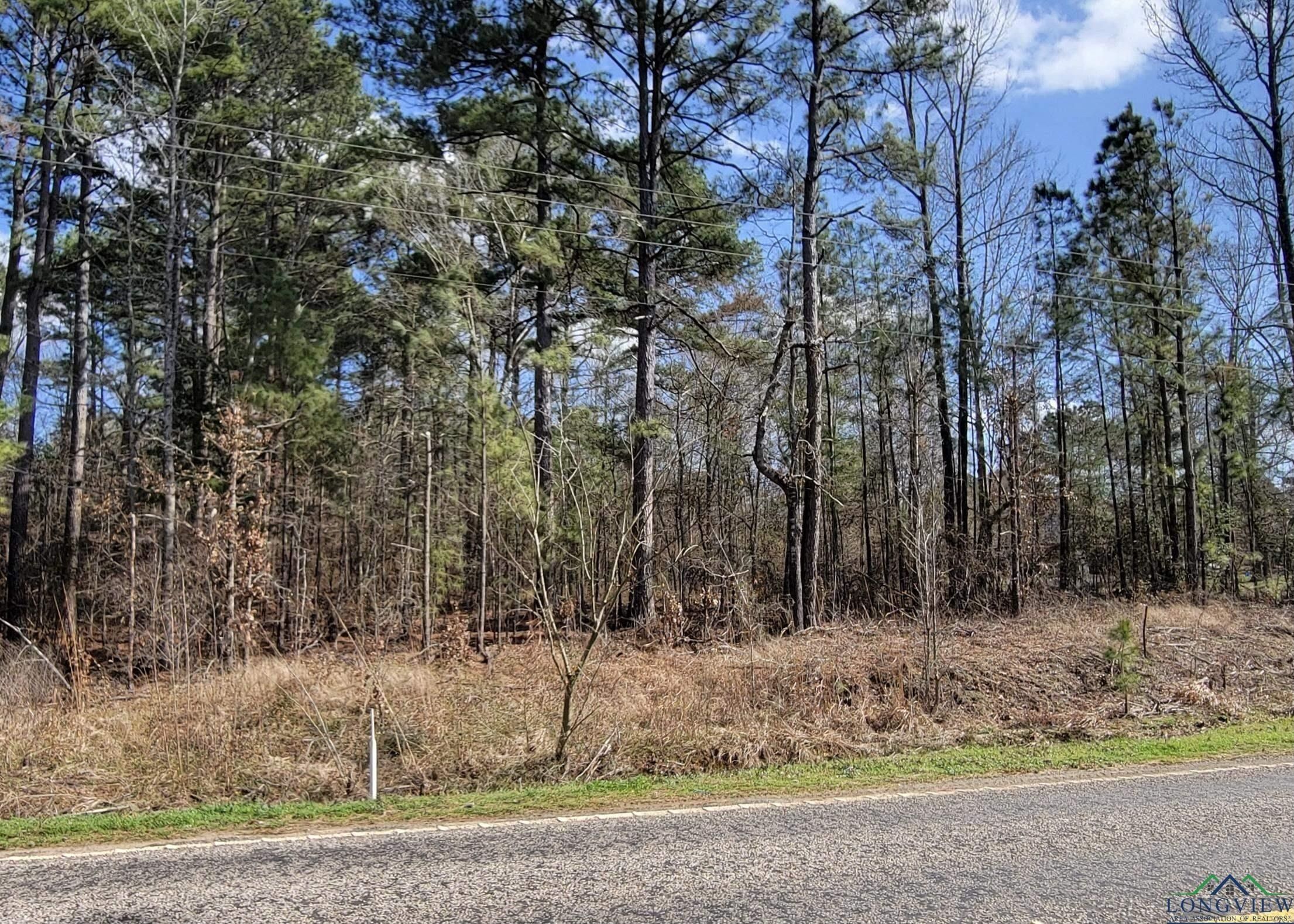 Tbd FM 134, Waskom, TX 75692 | MLS: 20250873 | LandWatch