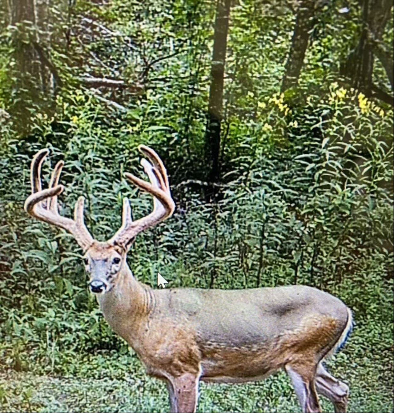 4813 Aarons Creek Rd, Pedro, OH 45659 | LandWatch