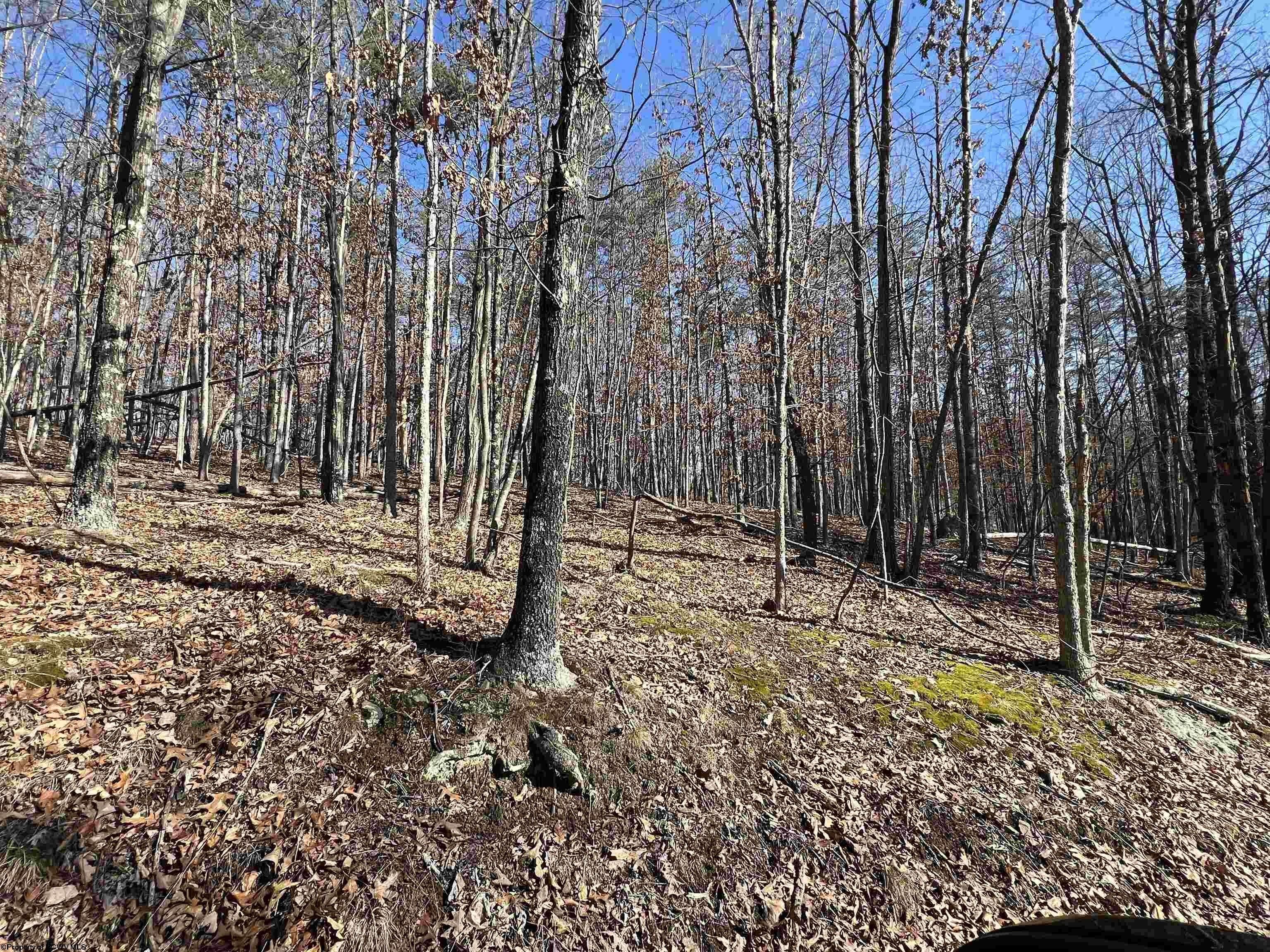 TBD Recluse Road, Delray, WV 26714 | MLS: 10157951 | LandWatch