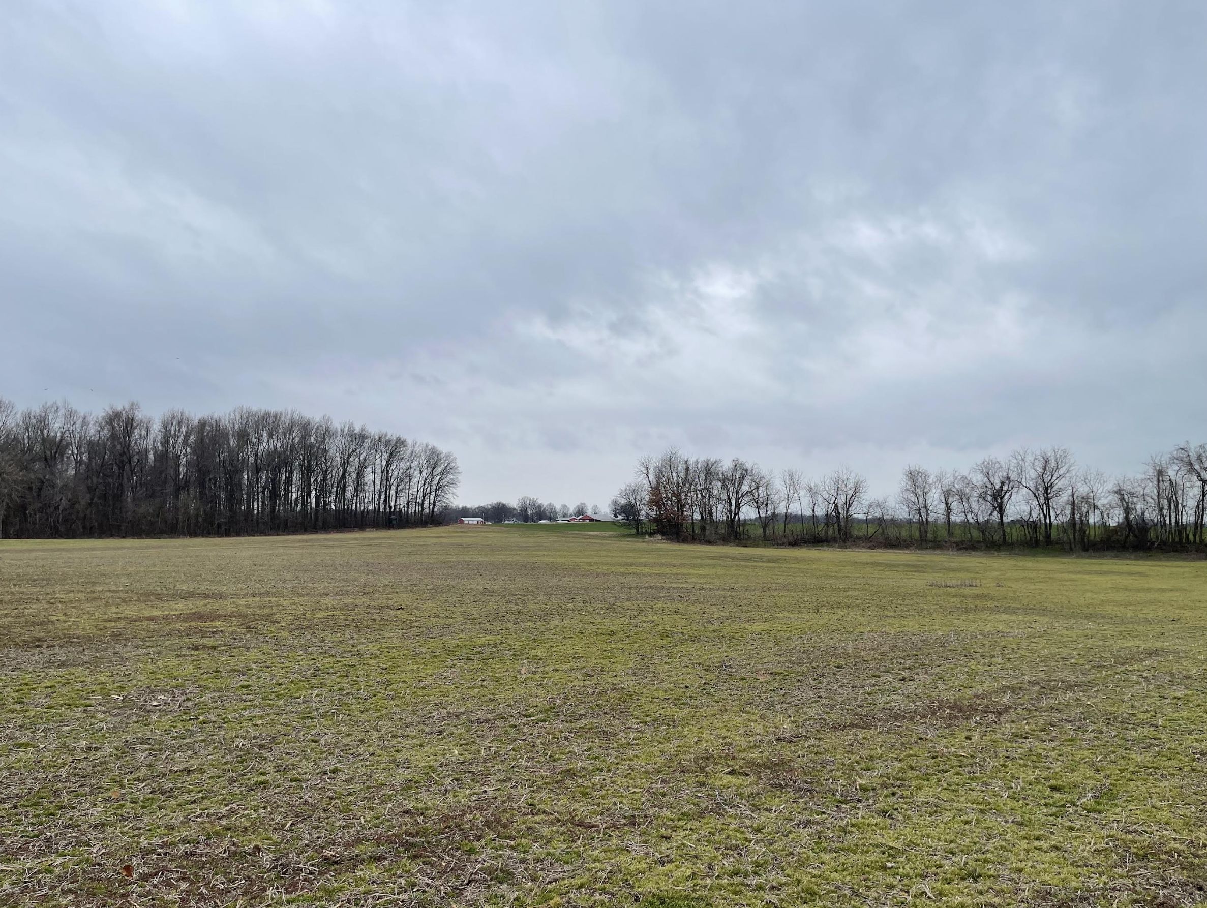 Tyson Store-Mason Hall Road, Kenton, TN 38233 | MLS: 2500562 | LandWatch