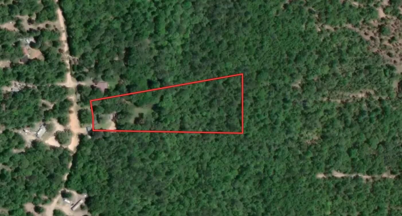 10202 Williamson Road, Chunchula, AL 36521 | MLS: 7483213 | LandWatch