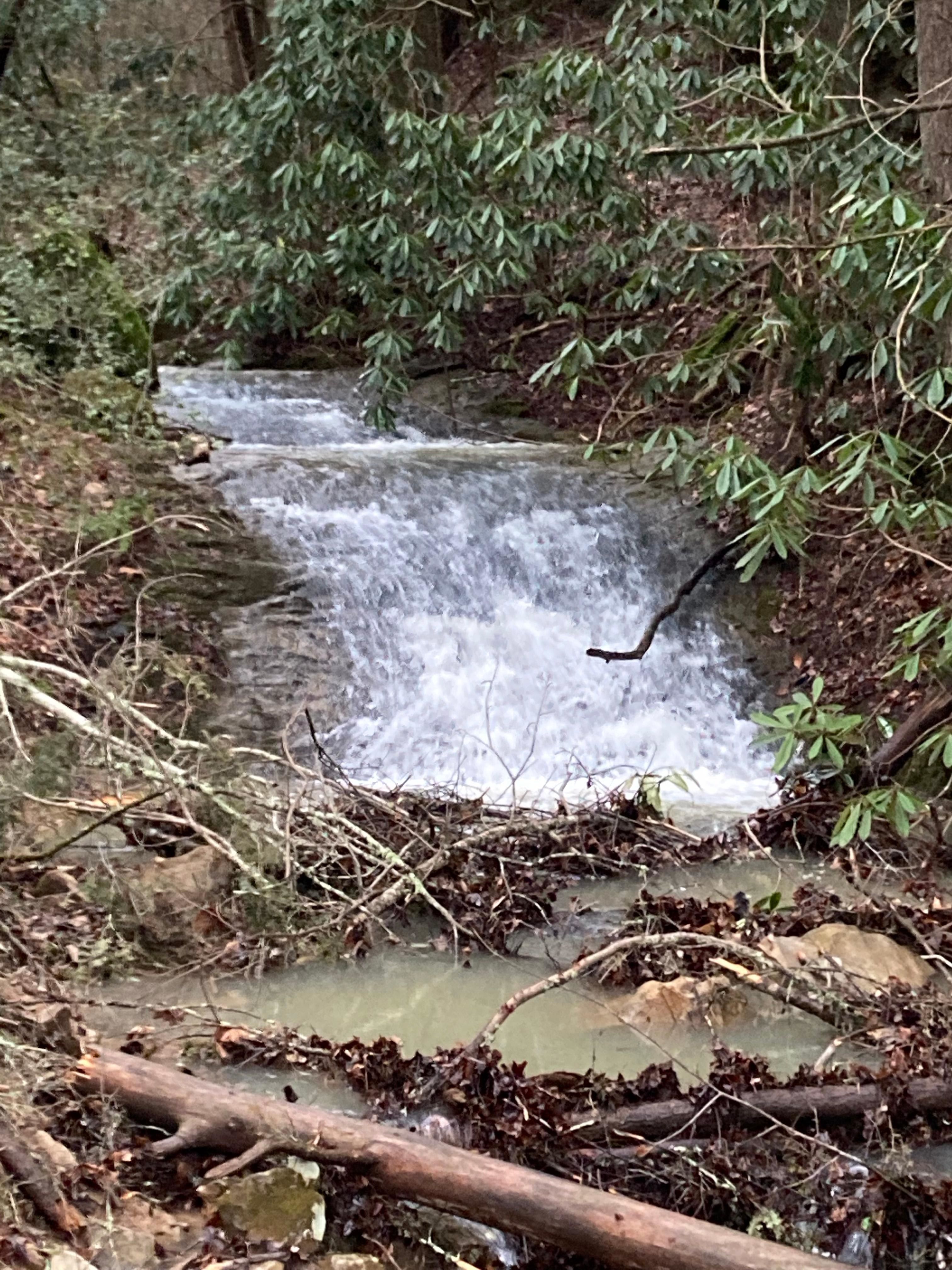 205 acres in Newcomb, TN, 37819 | LandWatch