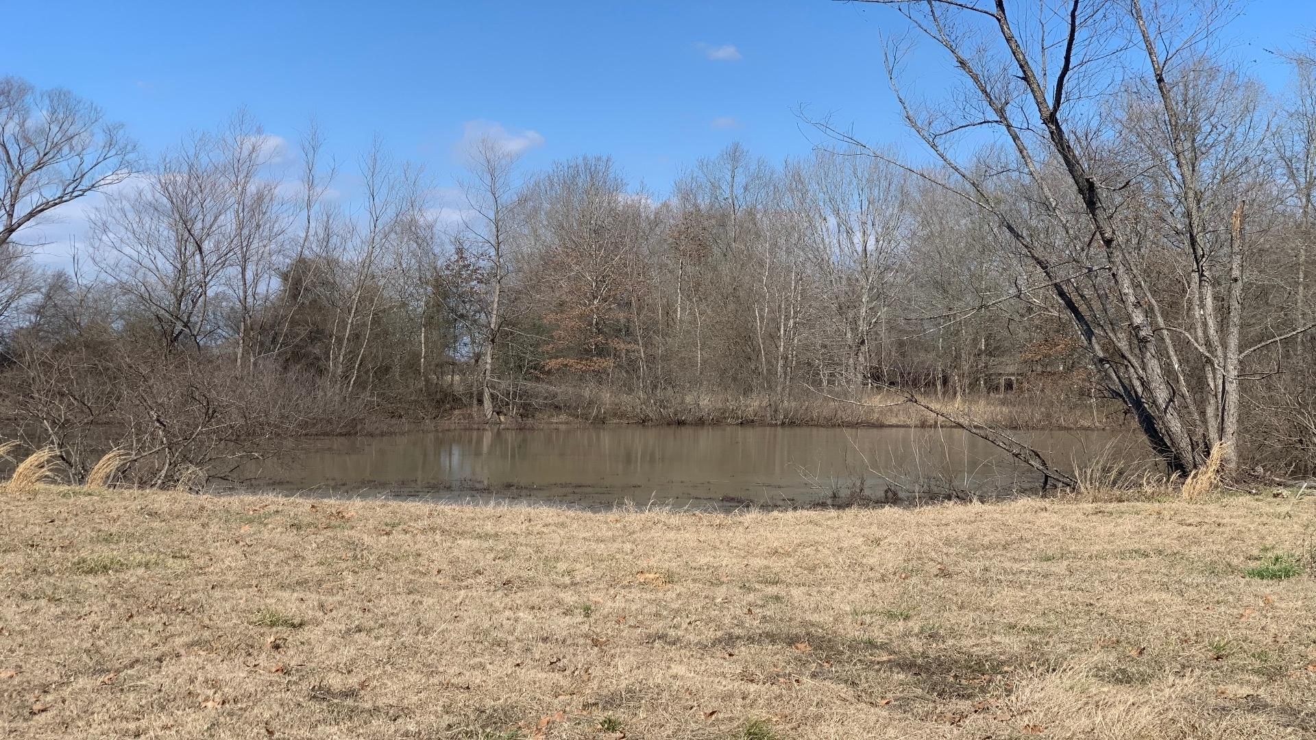 65 acres in Lydia, TX, 75554 | LandWatch