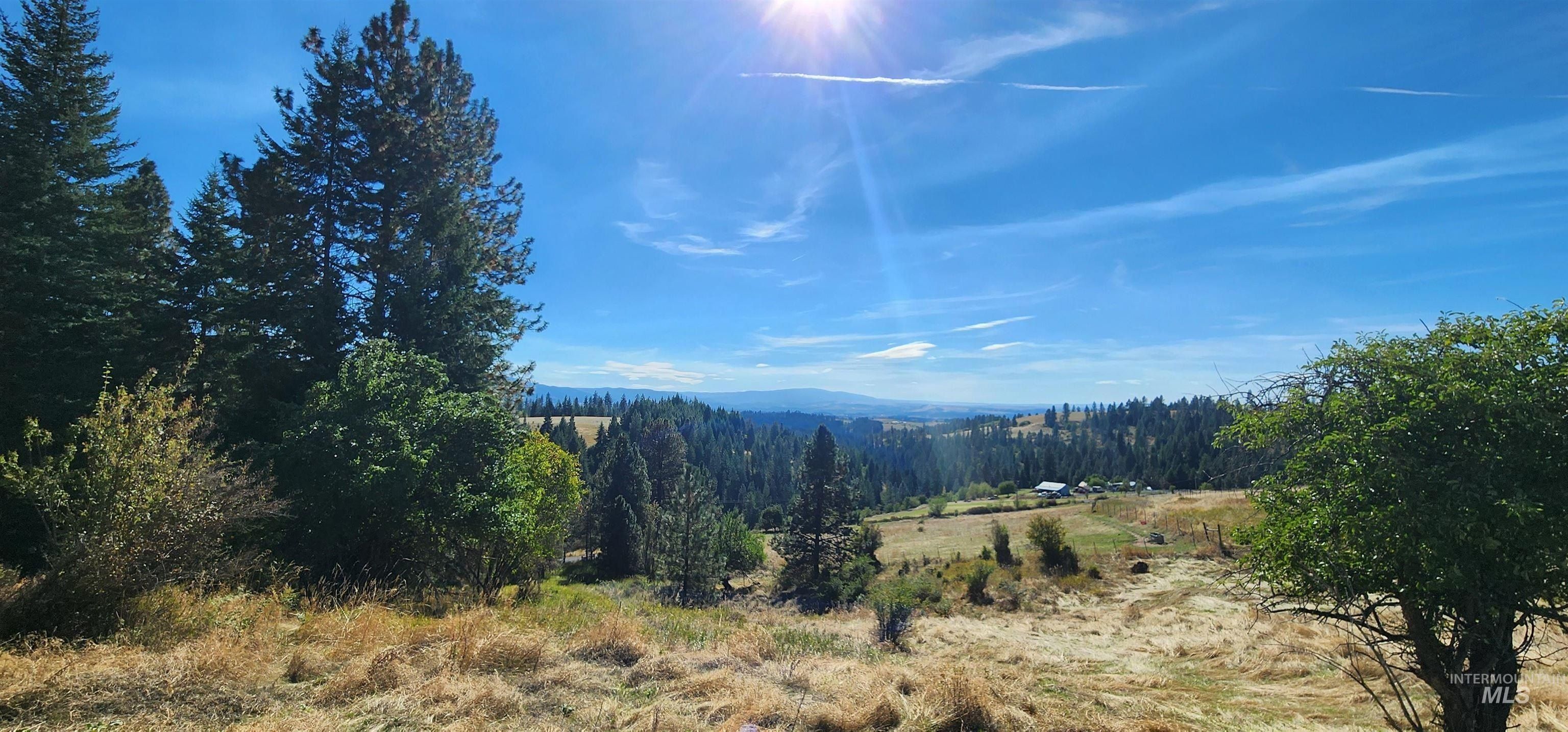 Tbd Red Fir Rd, Kooskia, ID 83539 | MLS: 98924747 | LandWatch