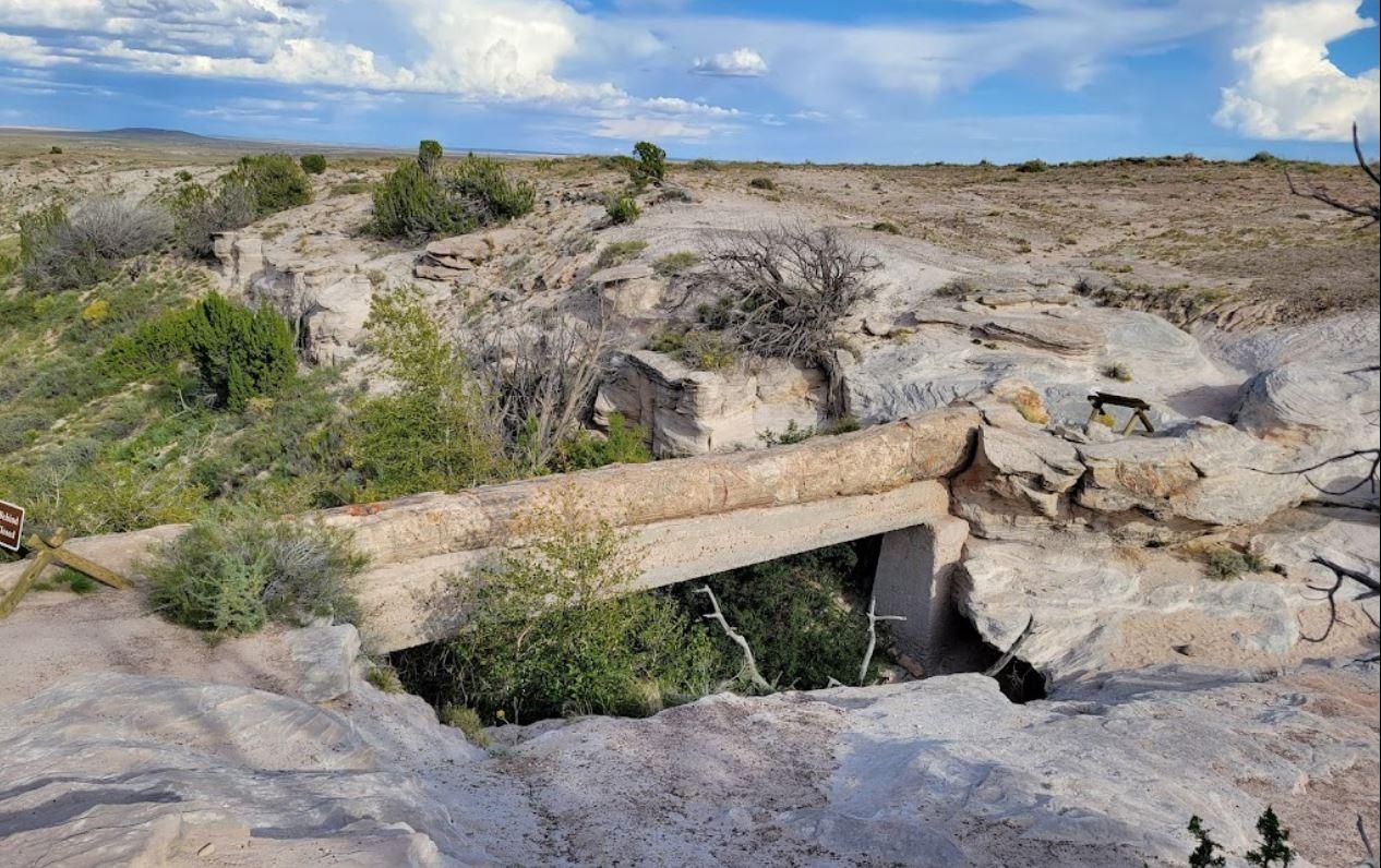 County Road N3523, Springerville, AZ 85938 | LandWatch
