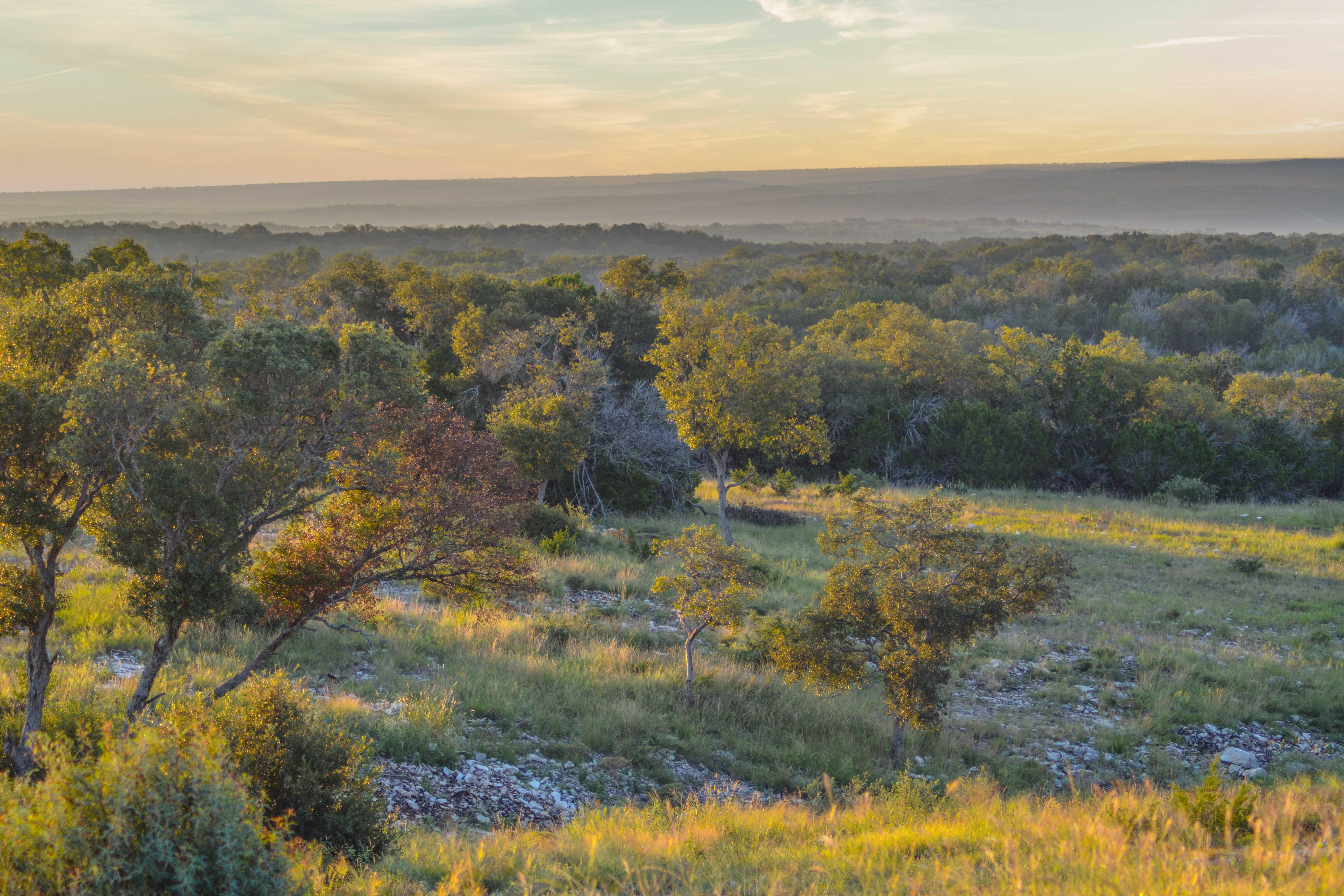 TBD CR 140, Junction, TX 76849 | LandWatch