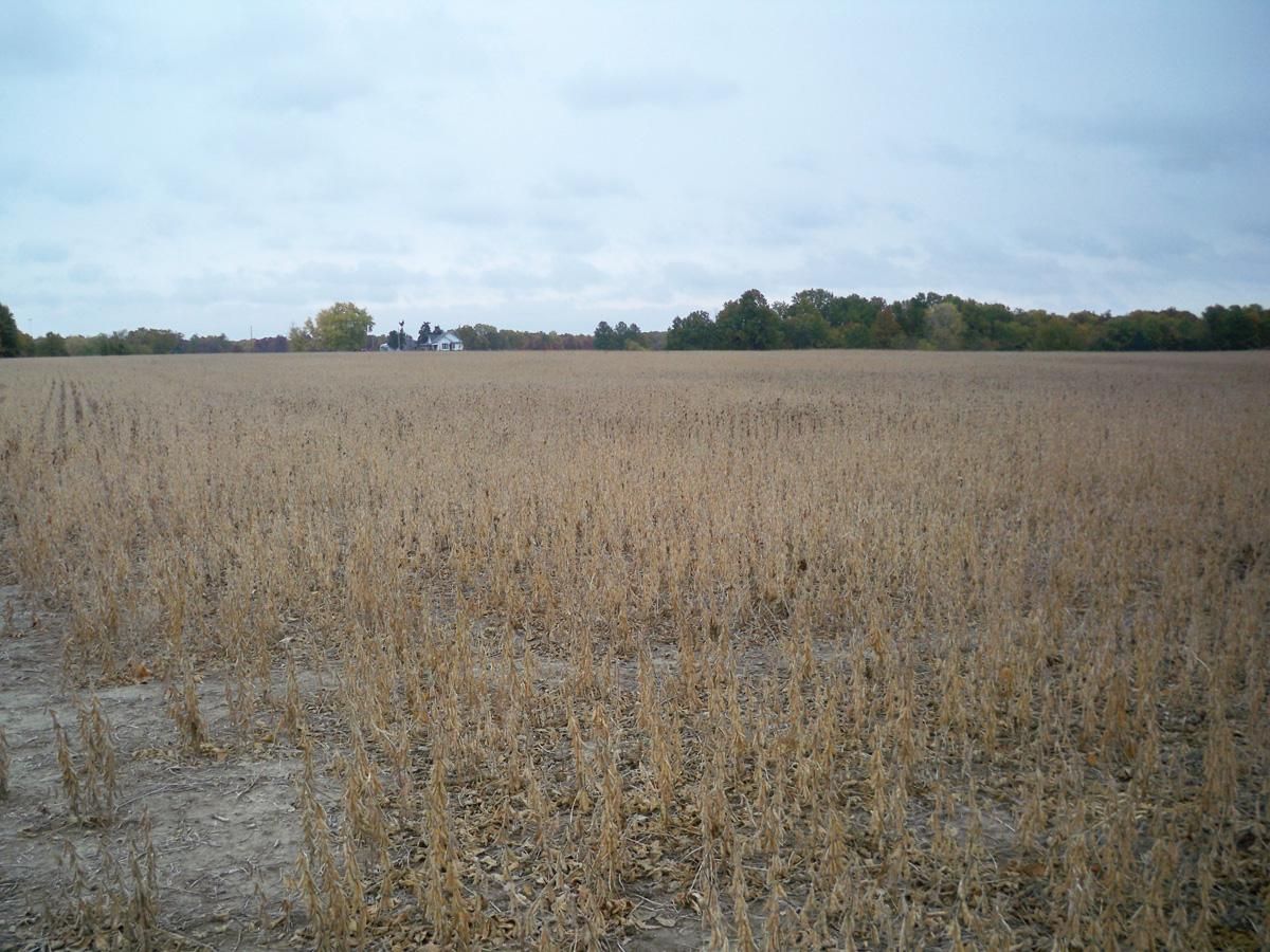 36 acres in Excello, MO, 65247 | LandWatch
