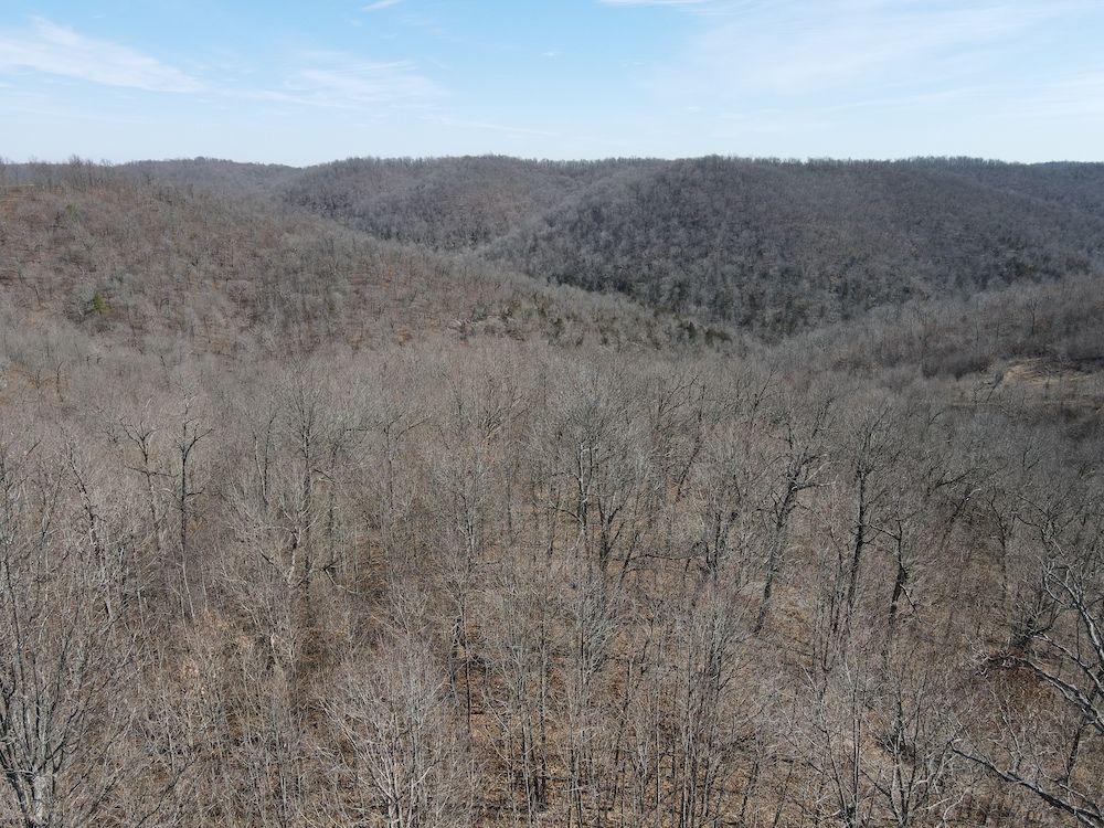 Firebreak Trail, Flippin, AR 72634 | LandWatch